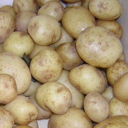 Achat PDT AGATA DE L\'AUBE 2.5KG, Légumes Frais de la sociï¿½tï¿½ ...