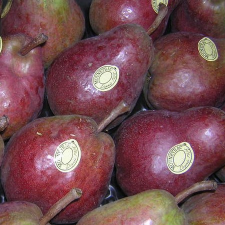 Achat POIRE WILLIAM ROUGE, Fruits Frais de la sociï¿½tï¿½ Fraich ...